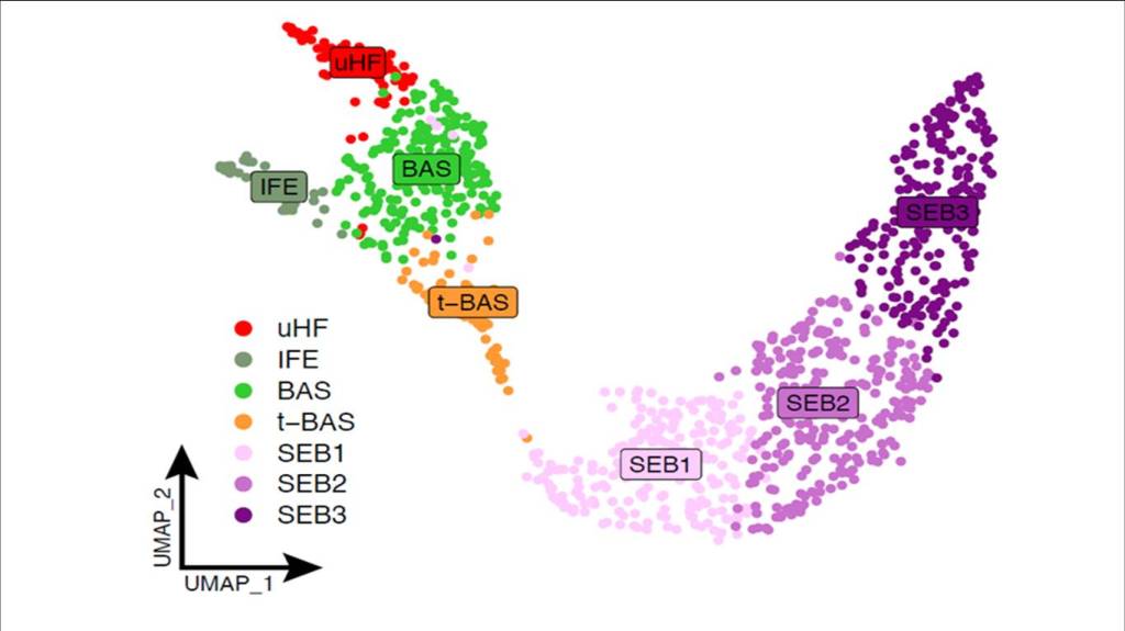 Select Publications – The Wong Lab @ The University of Michigan